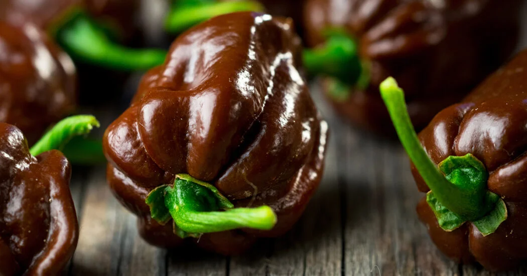 The Ultimate Guide to Different Types of Habanero Peppers | HolisticWow