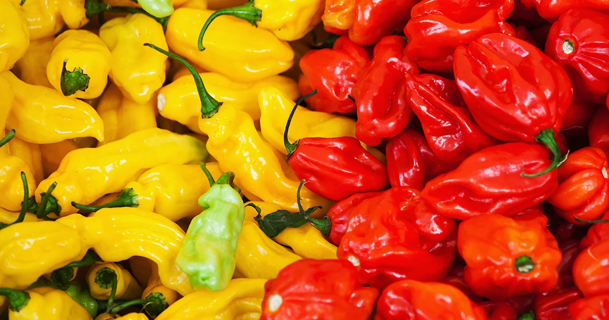 The Ultimate Guide to Different Types of Habanero Peppers | HolisticWow