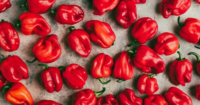 The Ultimate Guide to Different Types of Habanero Peppers | HolisticWow
