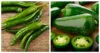 Serrano pepper VS Jalapeño: How Are They Different? | HolisticWow