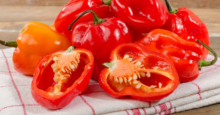 The Ultimate Guide to Different Types of Habanero Peppers | HolisticWow