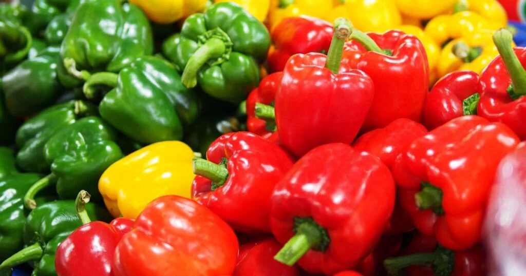 Bell Pepper - All about Heat, Flavor, Uses, Substitutes 🌶️