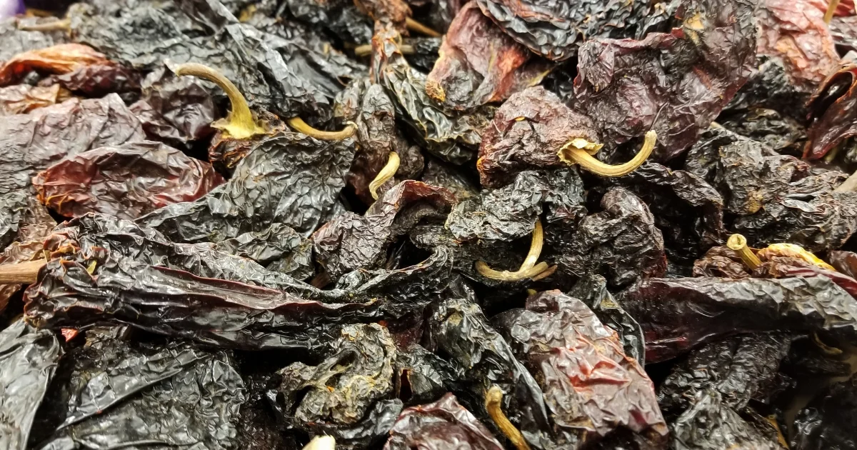 Pasilla pepper - All about Heat, Flavor, Uses, Substitutes | HolisticWow