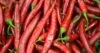 Tabasco pepper – All about Heat, Flavor, Uses, Substitutes