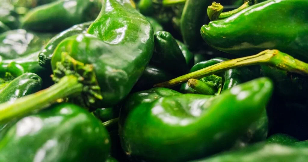 Hatch chili pepper - All about Heat, Flavor, Uses, Substitutes 🌶️