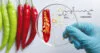 Capsaicin - Everything You Need to Know About this Compound in Chili ...