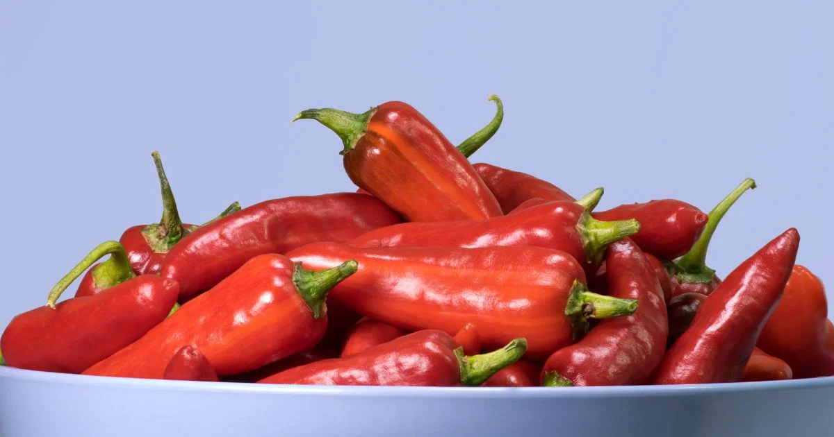 Fish pepper - All about Heat, Flavor, Uses, Substitutes 🌶️