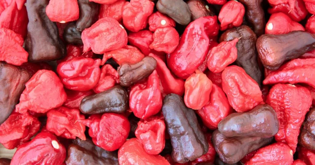 Naga Viper Pepper - All about Heat, Flavor, Uses, Substitutes | HolisticWow