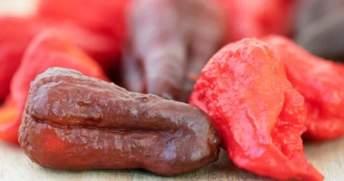 Naga Viper Pepper - All about Heat, Flavor, Uses, Substitutes | HolisticWow