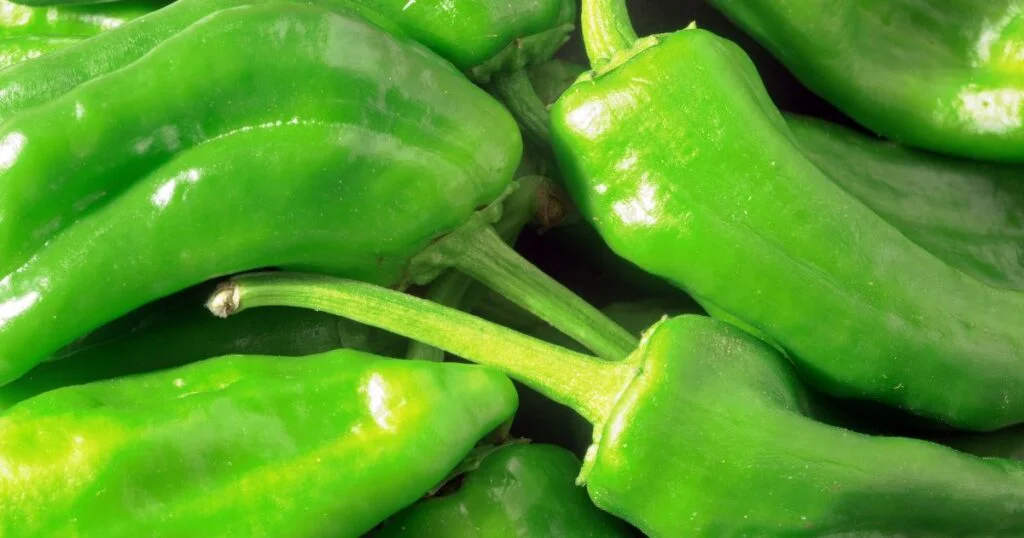 Padrón pepper - All about Heat, Flavor, Uses, Substitutes | HolisticWow