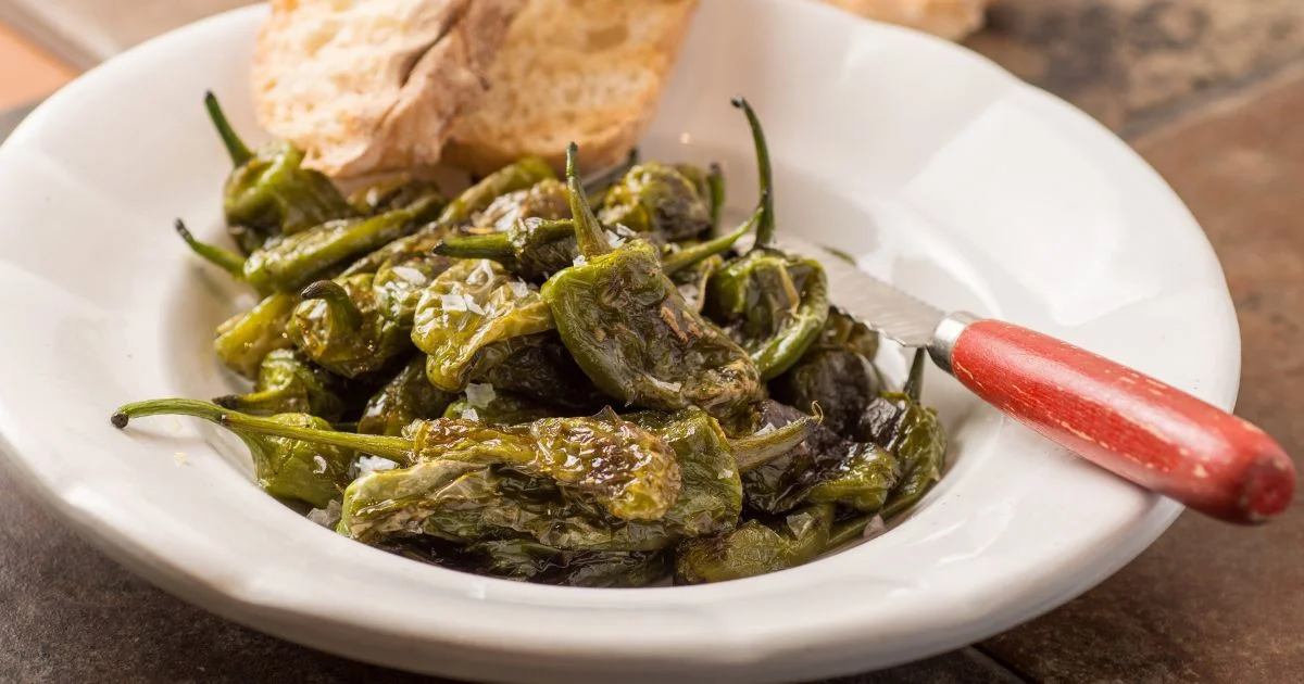 Padrón pepper - All about Heat, Flavor, Uses, Substitutes | HolisticWow