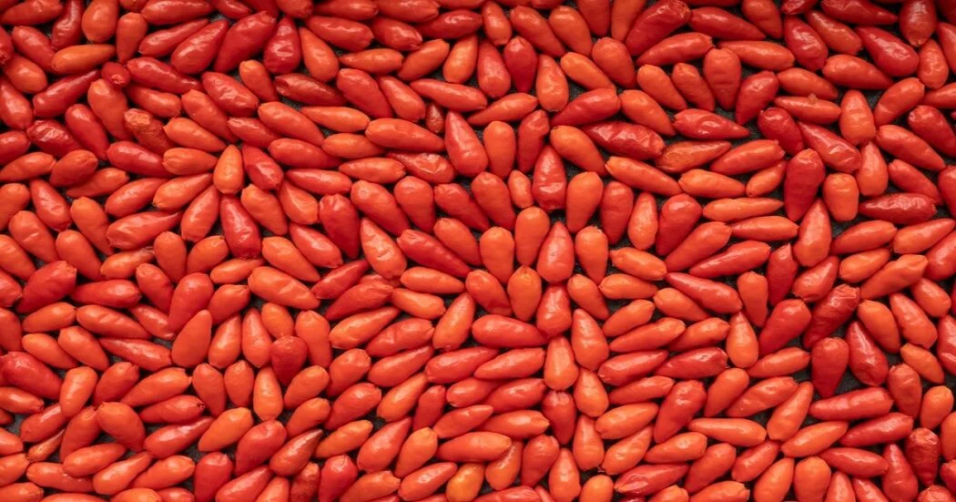 Pequin pepper - All about Heat, Flavor, Uses, Substitutes | HolisticWow