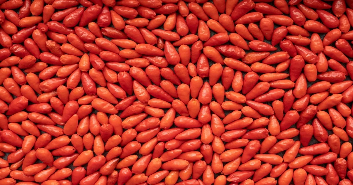 Pequin pepper - All about Heat, Flavor, Uses, Substitutes | HolisticWow