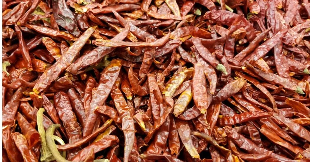 Pequin pepper - All about Heat, Flavor, Uses, Substitutes | HolisticWow