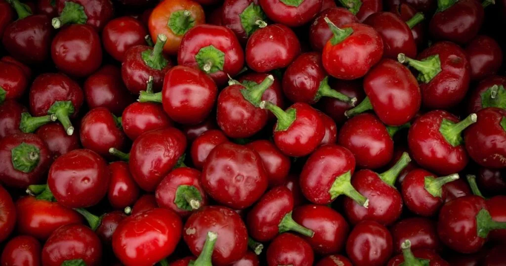 Pimento Pepper – All about Heat, Flavor, Uses, Substitutes