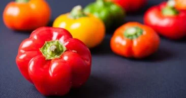 Pimento Pepper - All about Heat, Flavor, Uses, Substitutes | HolisticWow