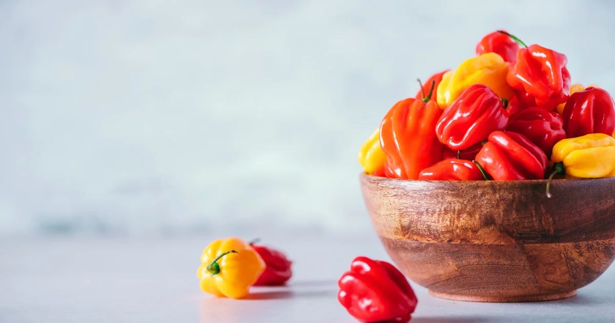 Scotch Bonnet Pepper - All about Heat, Flavor, Uses, Substitutes 🌶️