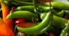 Serrano pepper - All about Heat, Flavor, Uses, Substitutes | HolisticWow