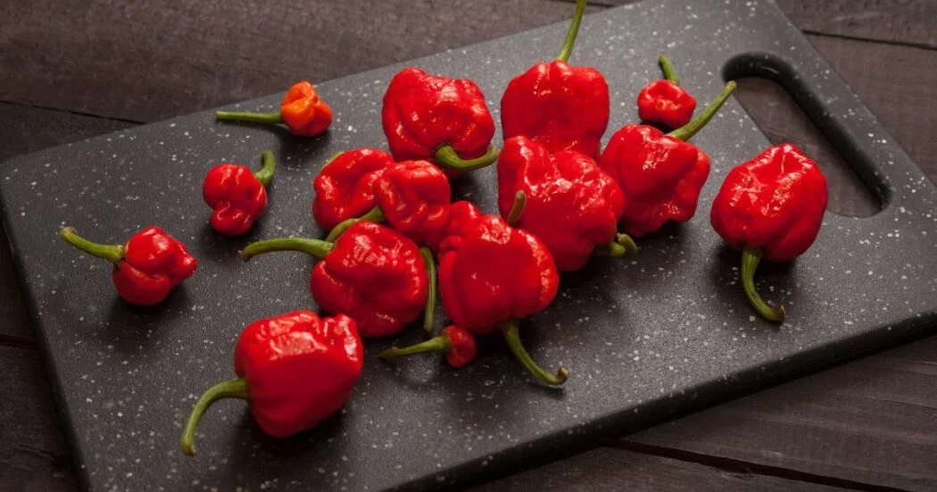 Trinidad Moruga Scorpion pepper - All about Heat, Flavor, Uses ...