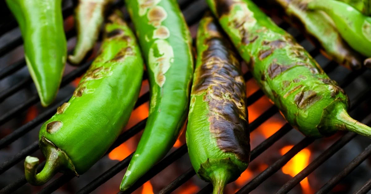 Anaheim pepper - All about Heat, Flavor, Uses, Substitutes | HolisticWow