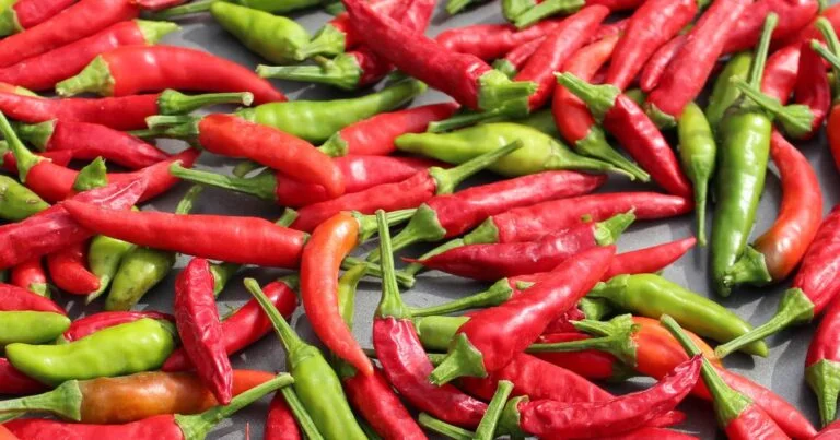 Cayenne Pepper Health Benefits: Unleashing the Fiery and Fantastic ...