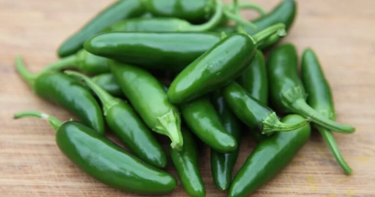 Jalapeño Health Benefits: How it can Spice Up Your Health | HolisticWow