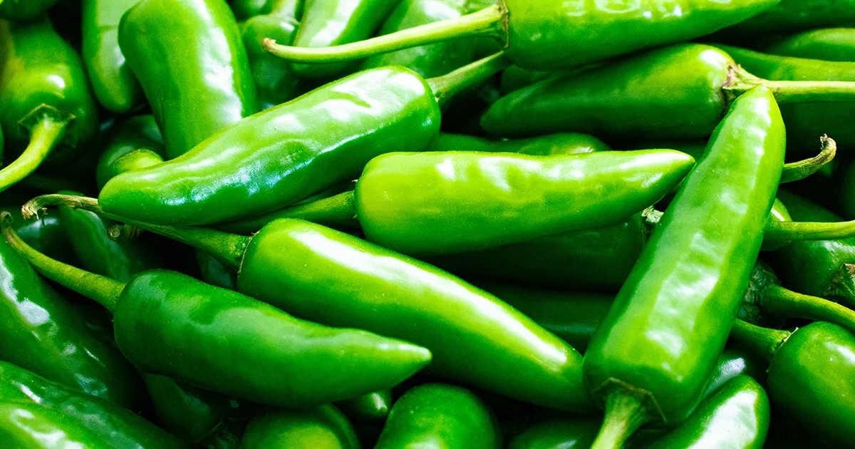 Mild Peppers: Flavorful and Gentle Pepper Types | HolisticWow