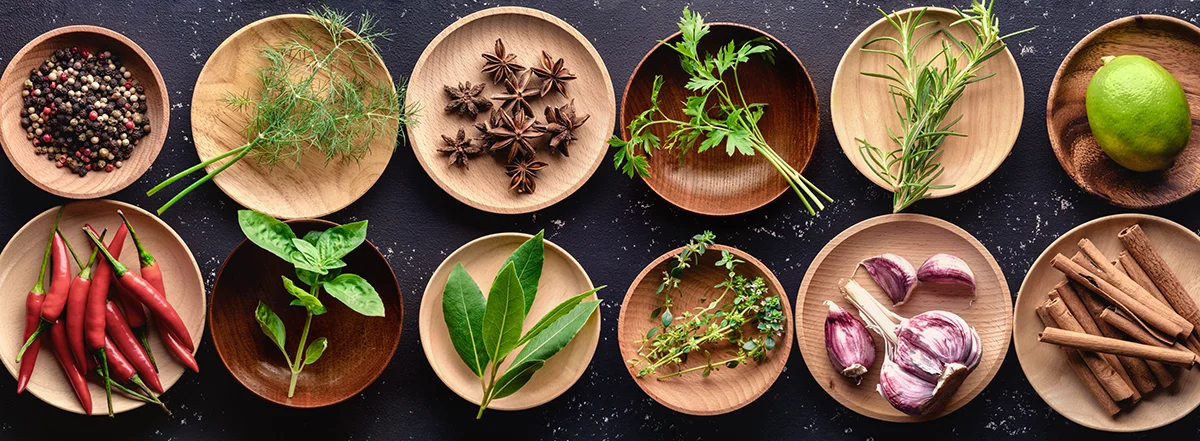 About Us | HolisticWow