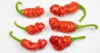 Peter pepper - All about Heat, Flavor, Uses, Substitutes 🌶️