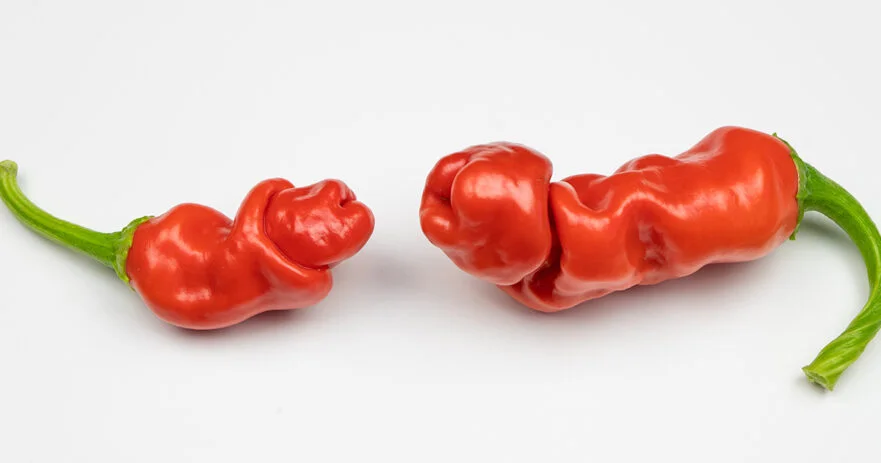 Peter pepper – All about Heat, Flavor, Uses, Substitutes 🌶️