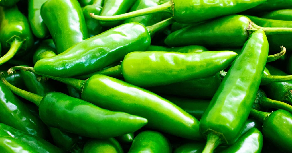 Anaheim Peppers VS Poblano: How Are They Different? | HolisticWow