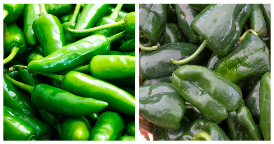 Anaheim Peppers VS Poblano: How Are They Different? | HolisticWow