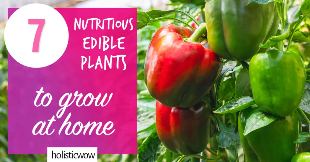 7 Nutritious Edible Plants to Grow at Home | HolisticWow