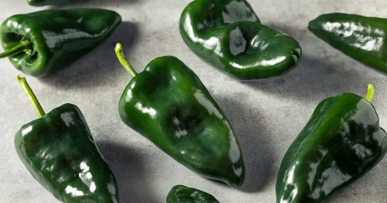 Anaheim Peppers VS Poblano: How Are They Different? | HolisticWow