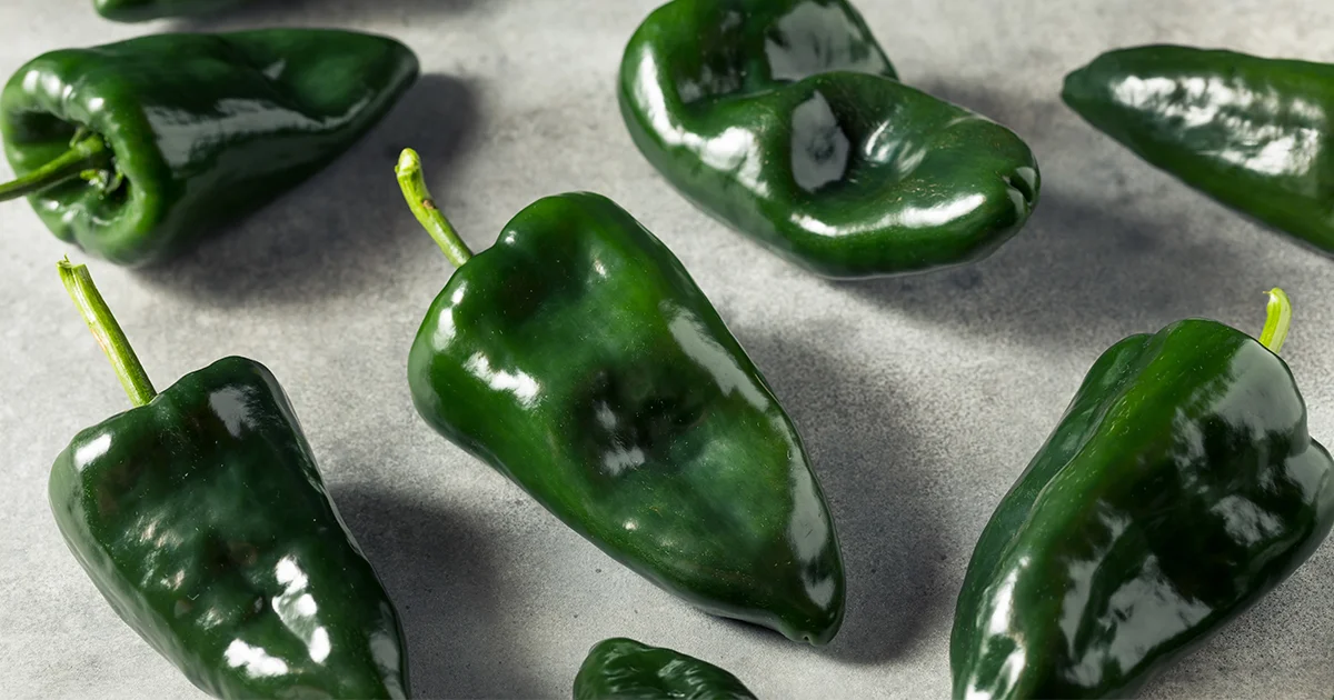 Anaheim Peppers VS Poblano: How Are They Different? | HolisticWow