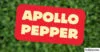 Apollo Pepper - All about Heat, Flavor, Uses, Substitutes | HolisticWow