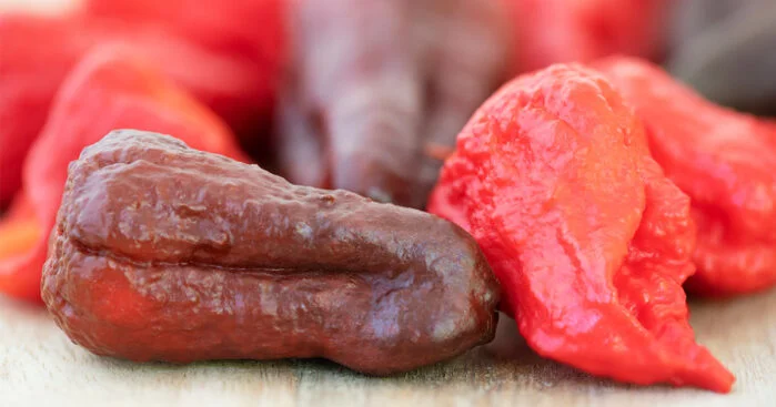 Dragon's Breath Pepper - All about Heat, Flavor, Uses, Substitutes ...