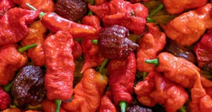 Death Spiral Pepper - All about Heat, Flavor, Uses, Substitutes ...