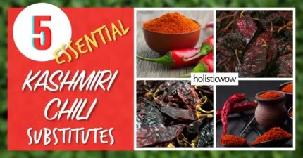 5 Essential Substitutes for Kashmiri Chili Powder in Flavorful Dishes ...