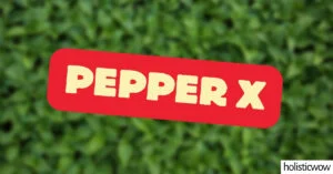 Pepper X - All about Heat, Flavor, Uses, Substitutes 🌶️