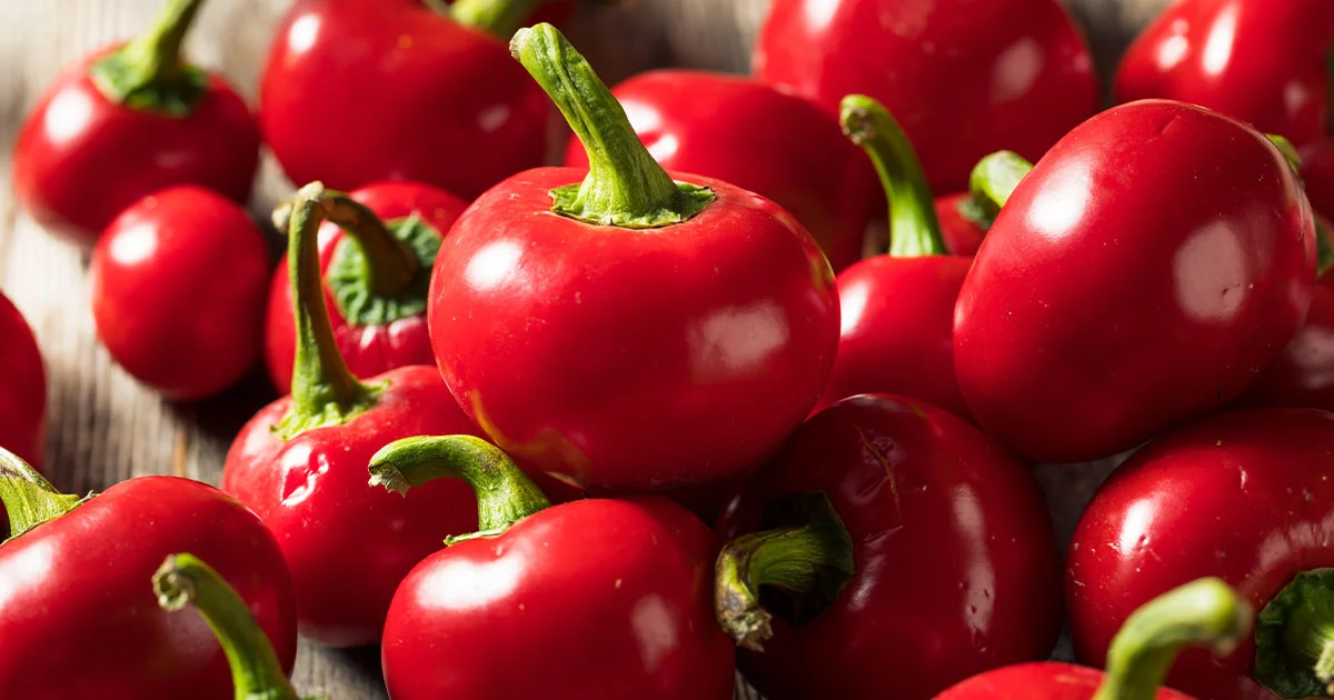 Cherry Pepper – All about Heat, Flavor, Uses, Substitutes | HolisticWow