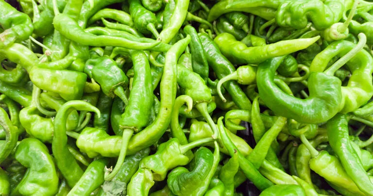 Italian Long Hot Pepper - All about Heat, Flavor, Uses, Substitutes ...