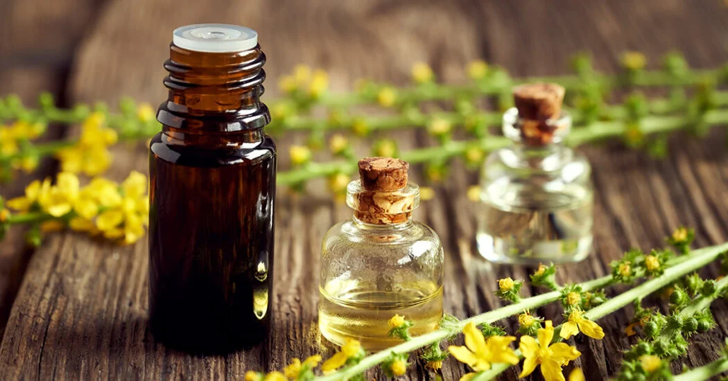 🌿 Agrimony Monograph | HolisticWow