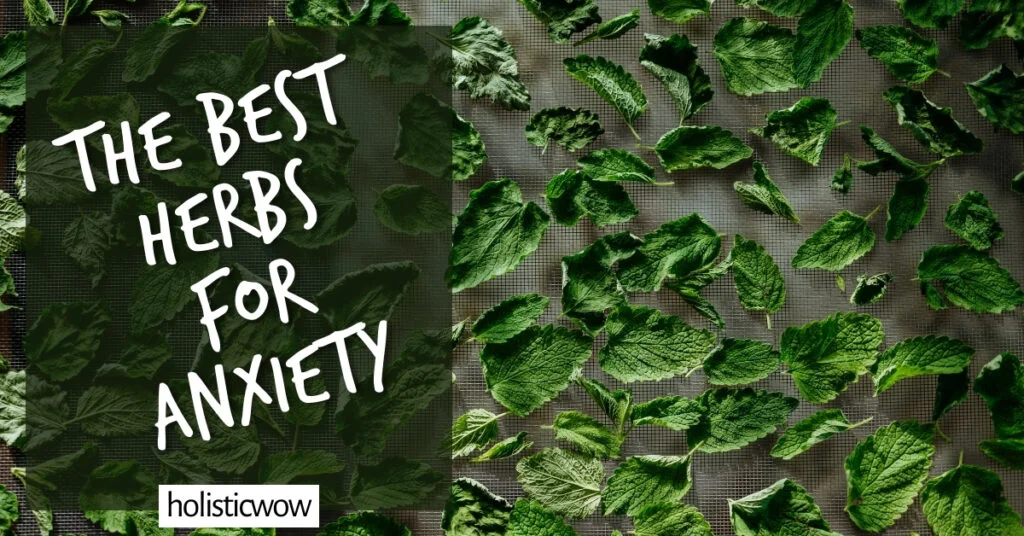 7 Best Herbs to Soothe Your Anxiety - Herbal Anxiety Relief | HolisticWow