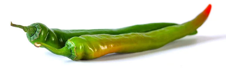 Cowhorn Pepper – All about Heat, Flavor, Uses, Substitutes | HolisticWow