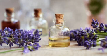 🌿 Lavender Monograph | HolisticWow