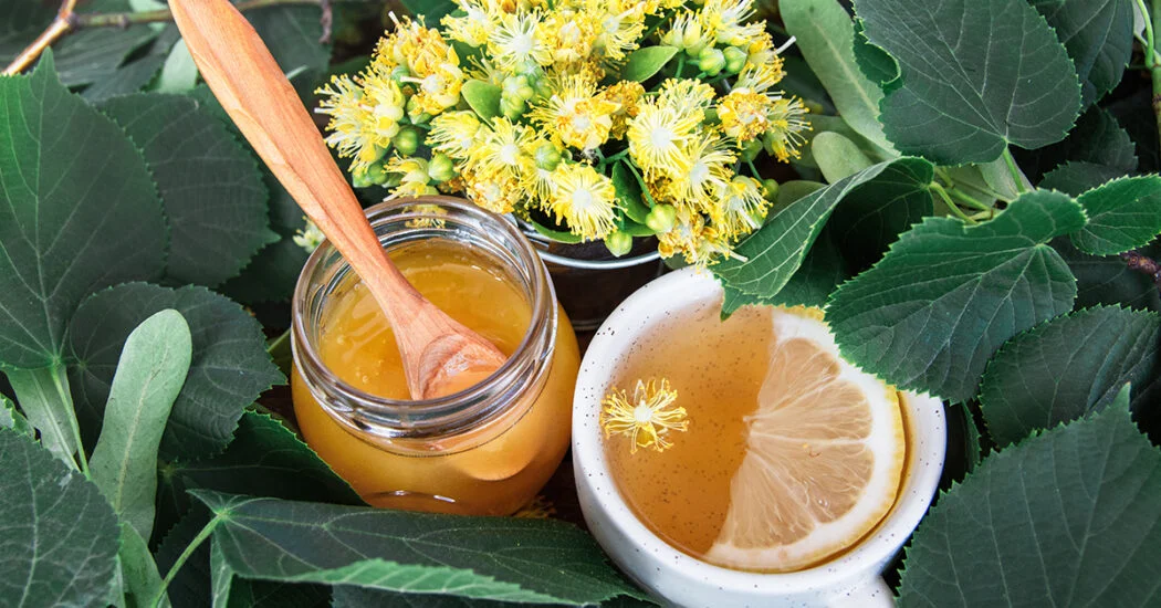 🌿 Tilia Monograph | HolisticWow