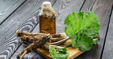 Burdock Monograph 🌿 | HolisticWow