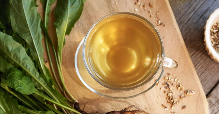 7 Best Herbs for Soothing Constipation | HolisticWow