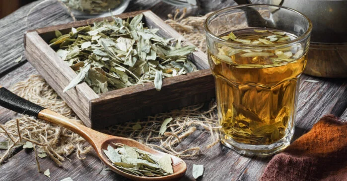 7 Best Herbs for Soothing Constipation | HolisticWow